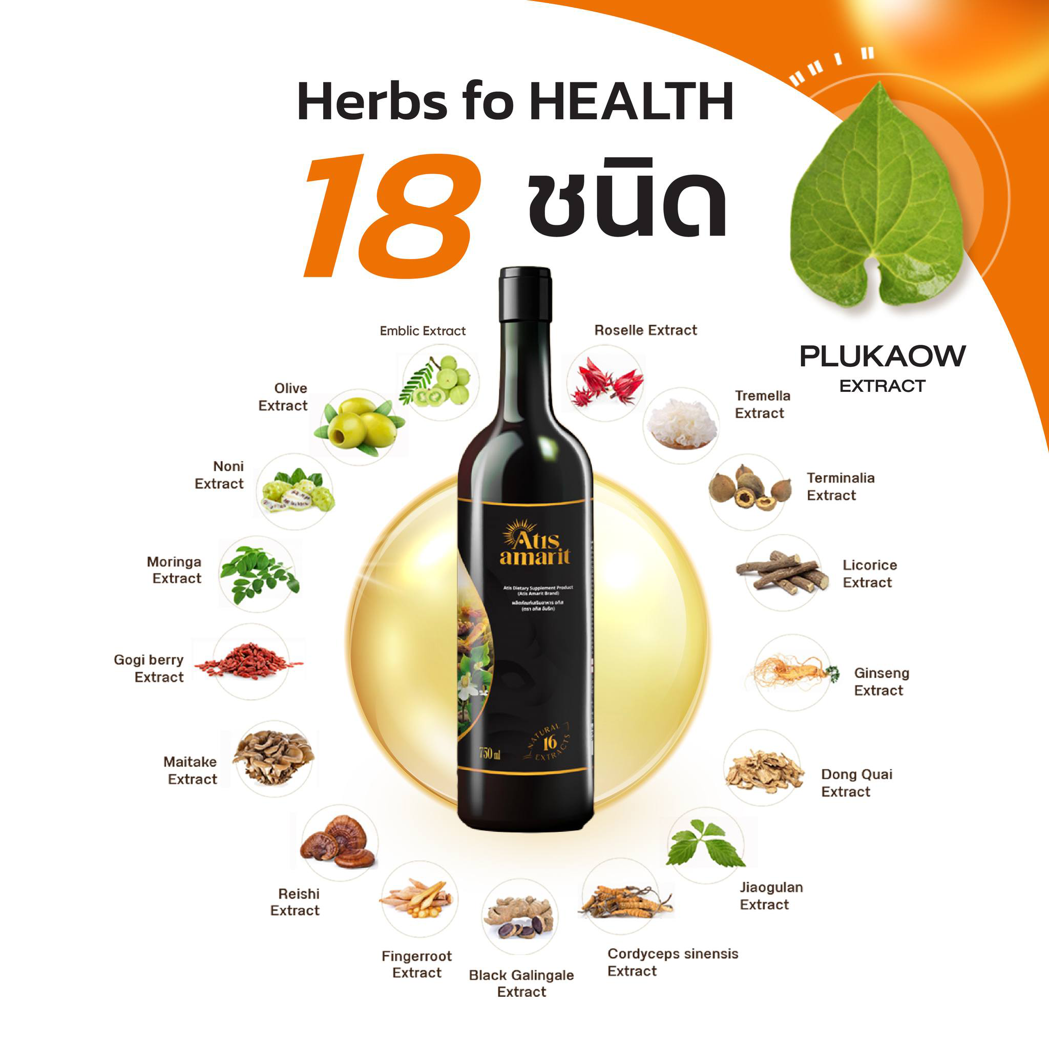 Atis Amarit พลูคาว อั้มอธิชาติ เครื่องดื่มสมุนไพร พลูคาว เข้มข้น ...
